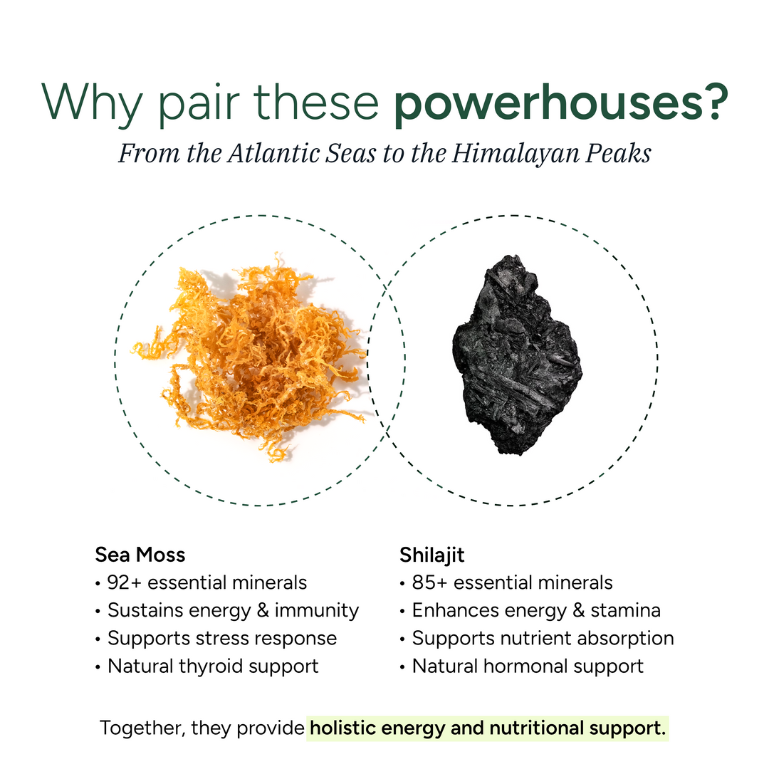 Immunity Combo – Root Labs