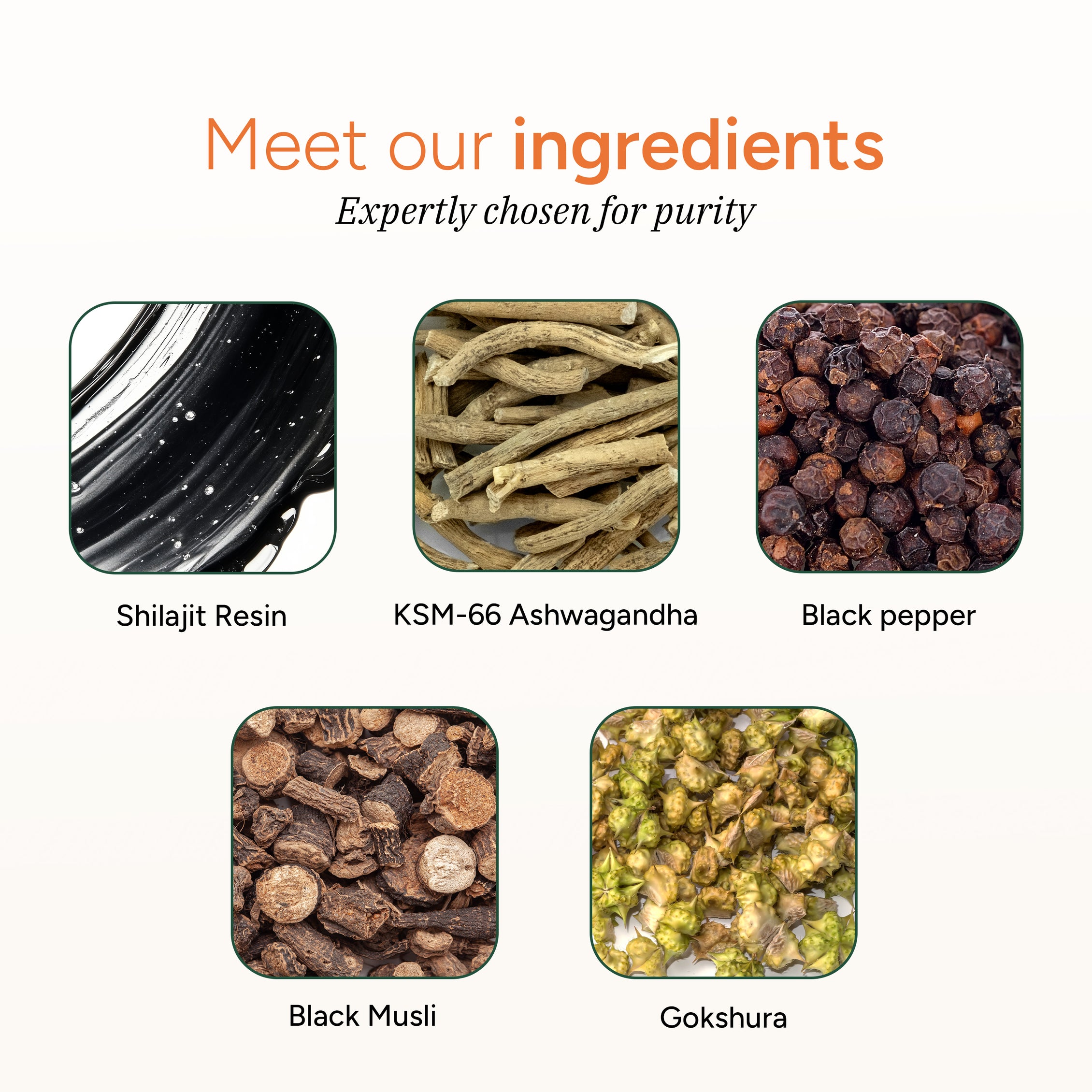 Shilajit Gummies 120s – Root Labs