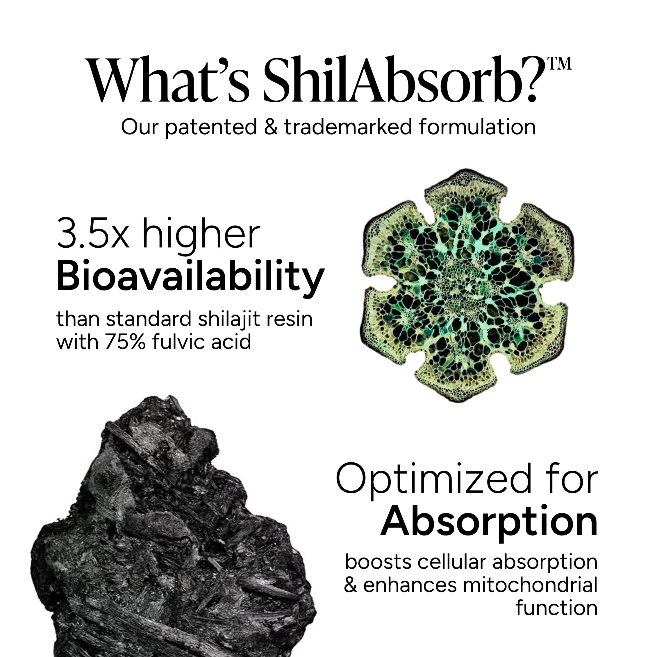 Alpha Gummies 120s – Root Labs